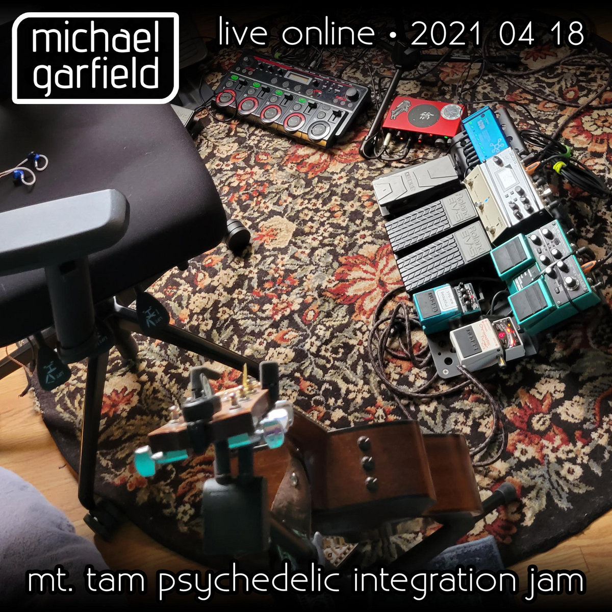 Mt. Tam Psychedelic Integration Jam | Michael Garfield