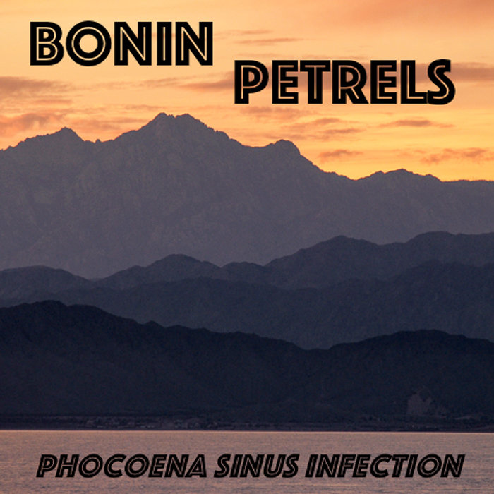 Phocoena sinus Infection | Bonin Petrels