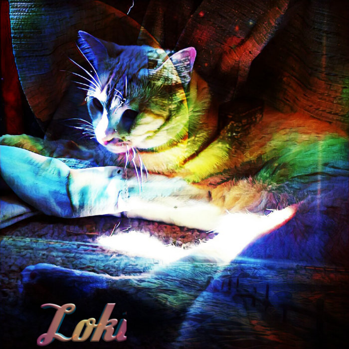 Loki | Loki the cat | Lambent Indications