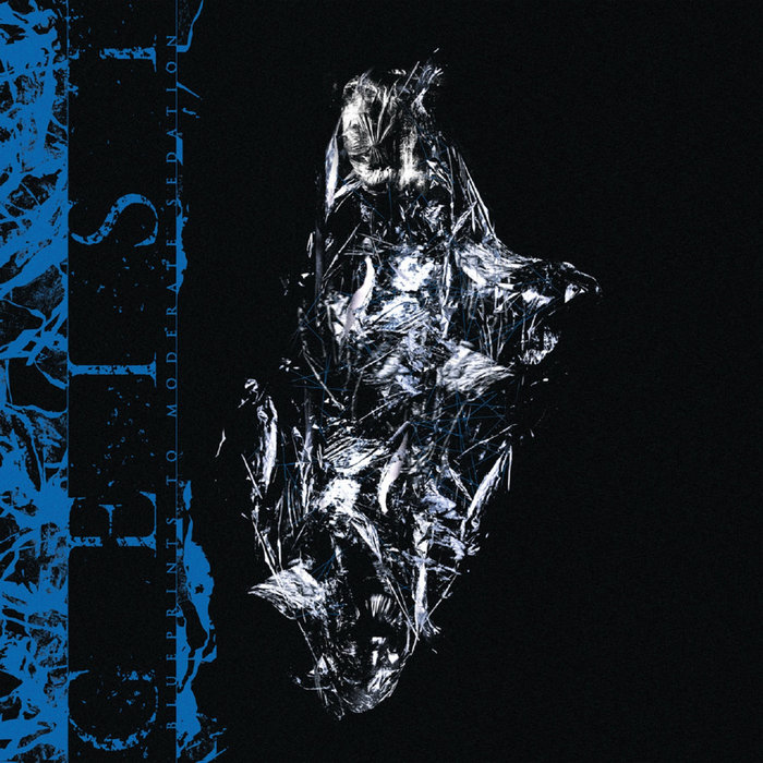 Blueprints To Moderate Sedation | GEIST | Cursed Monk Records