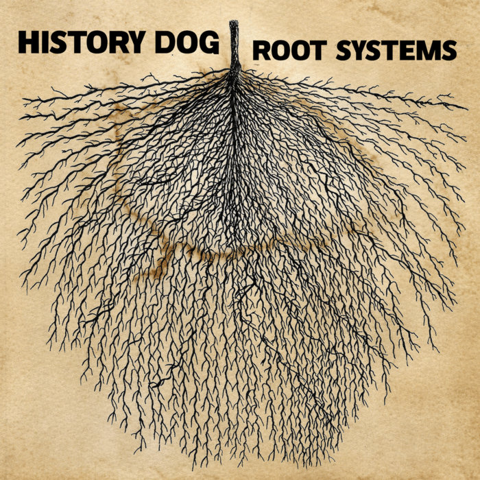 Root Systems | History Dog