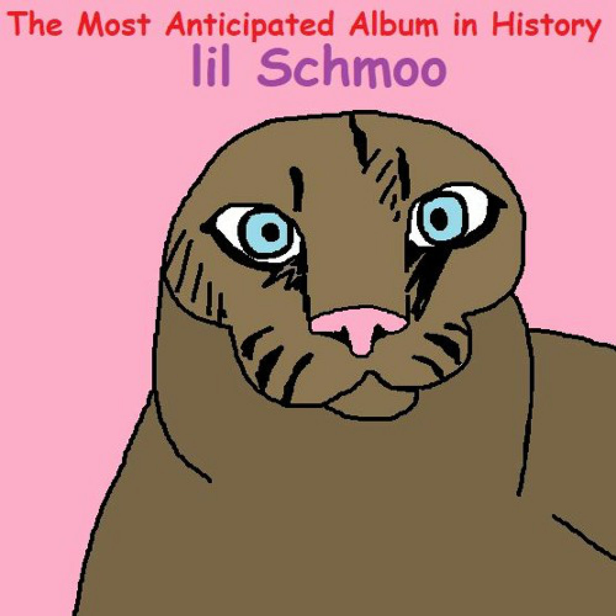 The Most Anticipated Album In History (10th Anniversary Edition) | lil ...