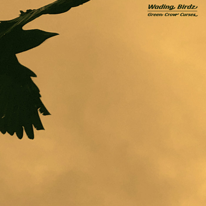 GREEN CROW CURSES | WADING BIRDZ | DUB EKOMS