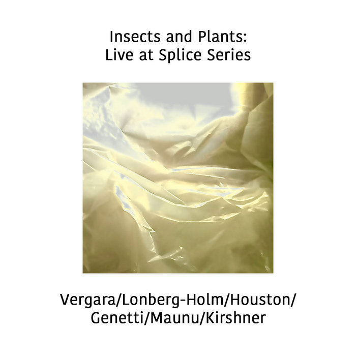 Insects and Plants: Live at Splice Series | Vergara/Lonberg-Holm ...