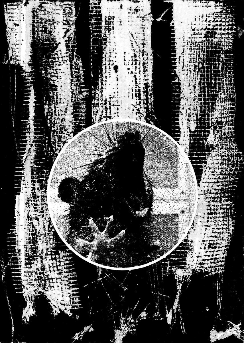 Rats Teeth | Flesh Shuddering