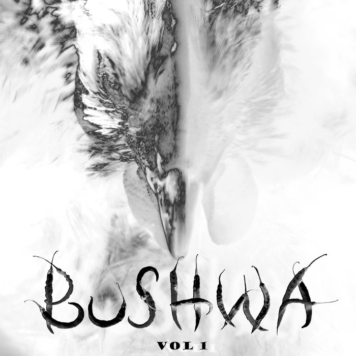 Vol 1 | Bushwa