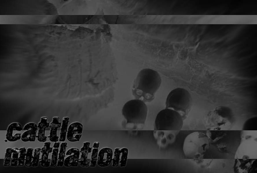 Cattle Mutilation | Cattle Mutilation