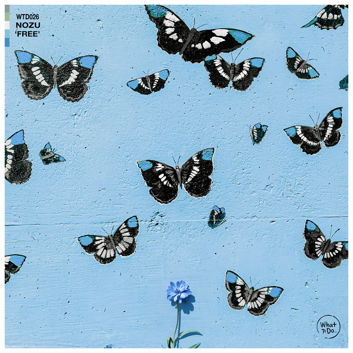 Free | NOZU | What To Do