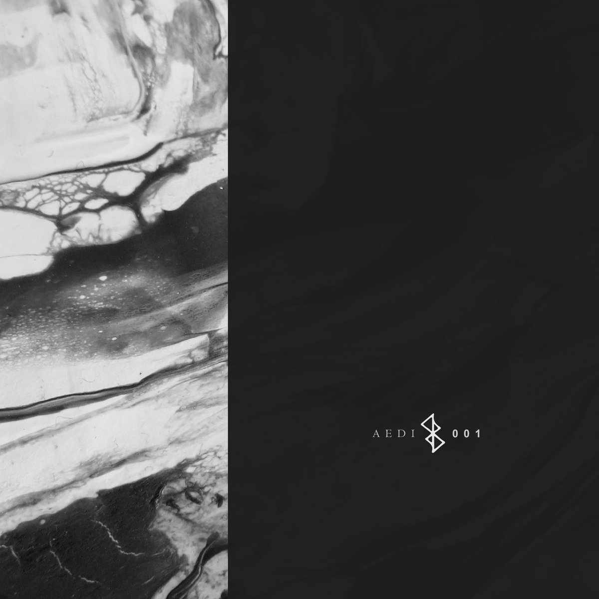 AEDI001 | Aedi Records