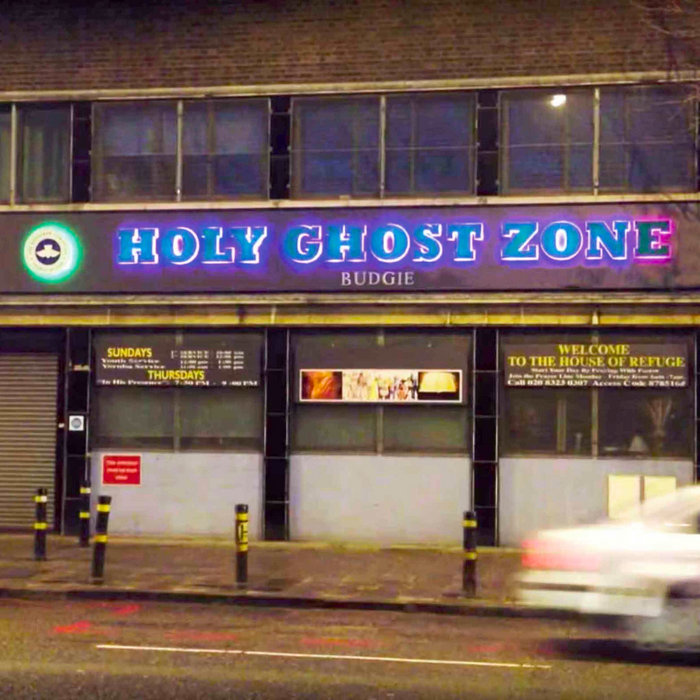 Holy Ghost Zone | Budgie