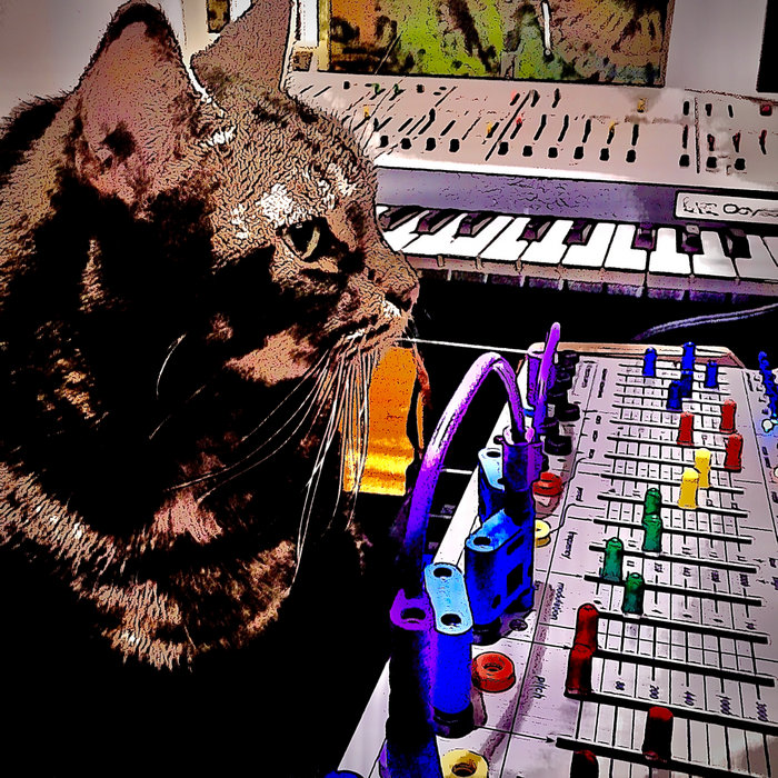 Ziggy Cat / Bill T Miller Buchla Sessions | BILL T MILLER (BTM) | BILL ...