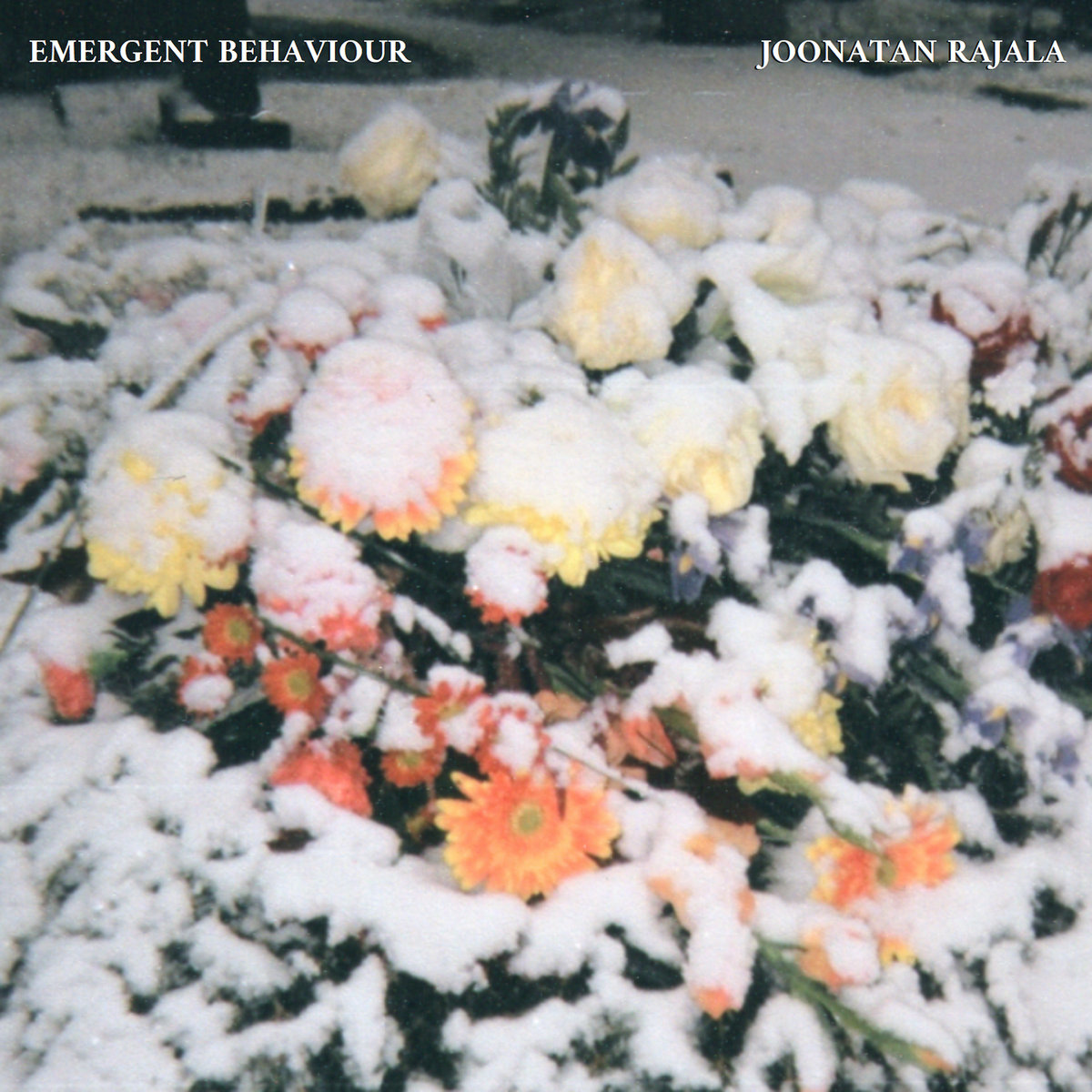 Emergent Behaviour | Joonatan Rajala