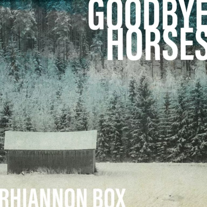 Goodbye Horses | Rhiannon Box