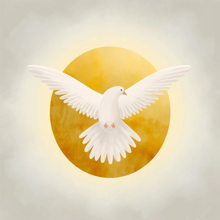 Holy Time | Human