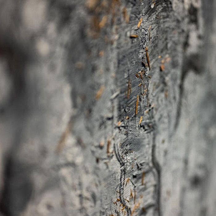 E.Rolin Edwin Buger / Parallel Wings Glissotar & Electronics ...