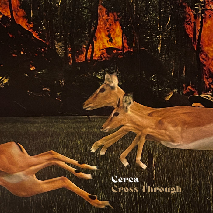 Cross Through | Cerca