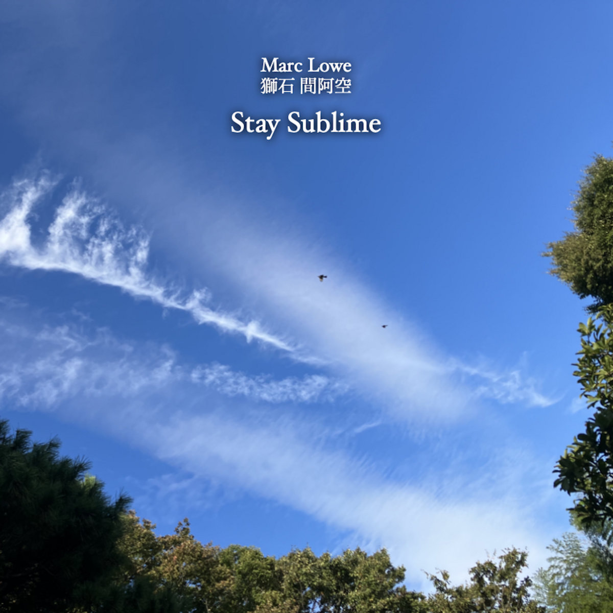 Stay Sublime (Compilation -- Studio LPs, 2022) | Marc Lowe
