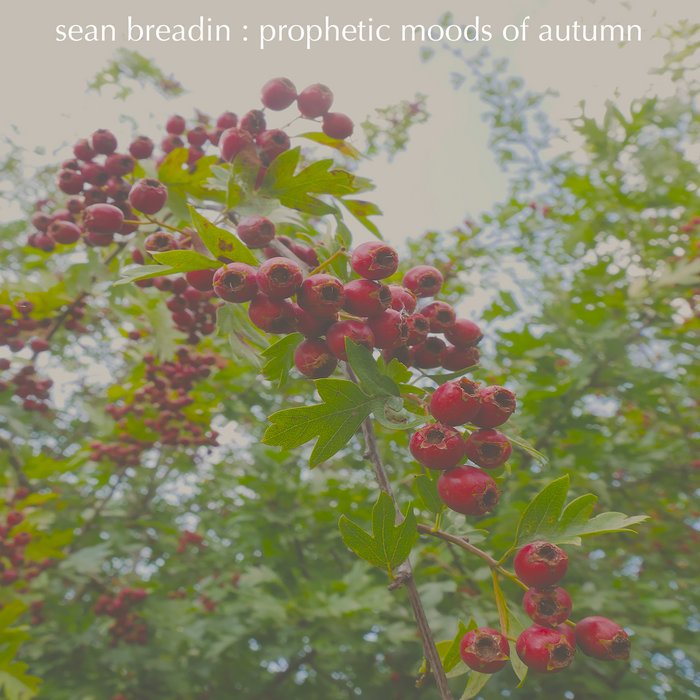 Prophetic Moods of Autumn (August Music 2019) | Sean Breadin