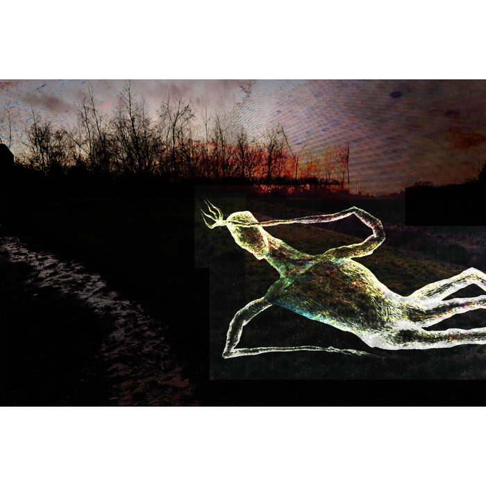 Distender | Leg Locker