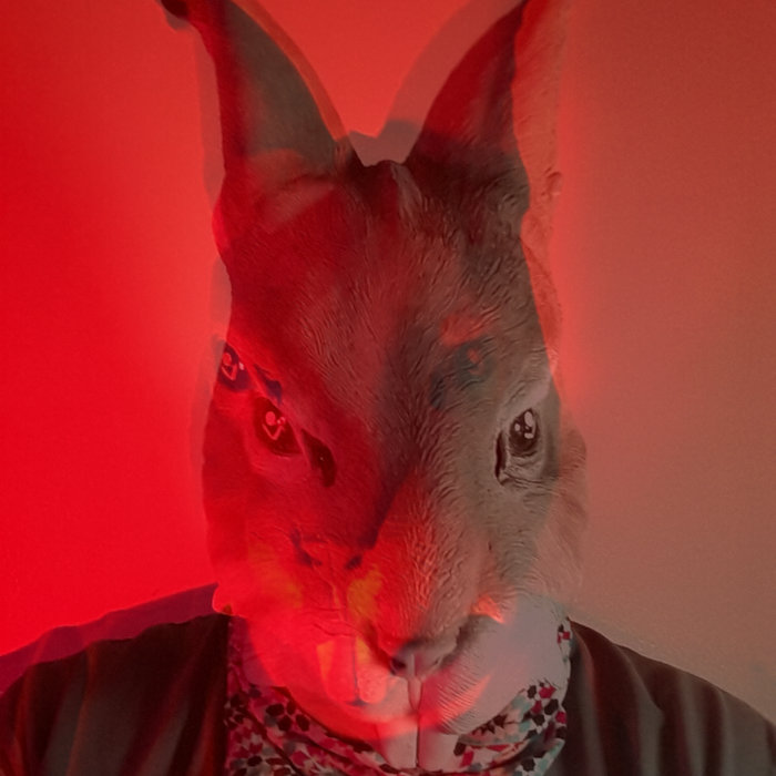 Waves | Rabbit On Acid