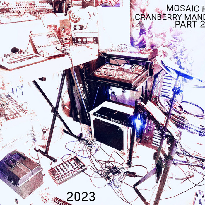 Cranberry Mandalas Part 2 | MOSAIC RUNES