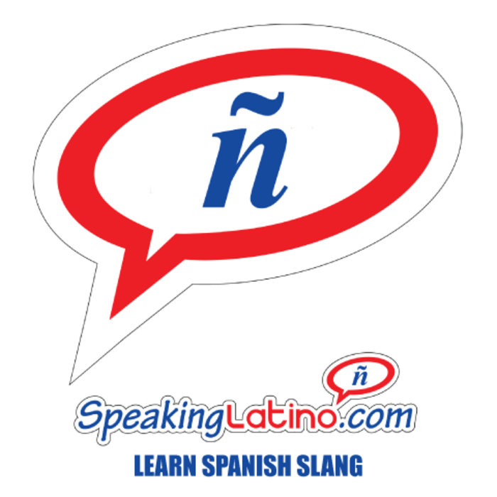 4 Puerto Rican Spanish Slang Words: Bicho, Bicha, Bicheria, Bichote ...
