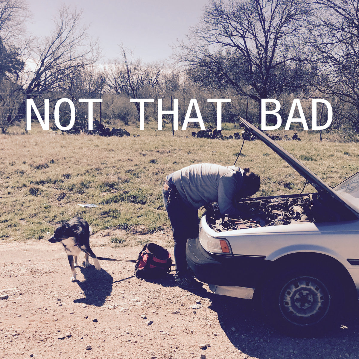 Not That Bad | Jacob Furr