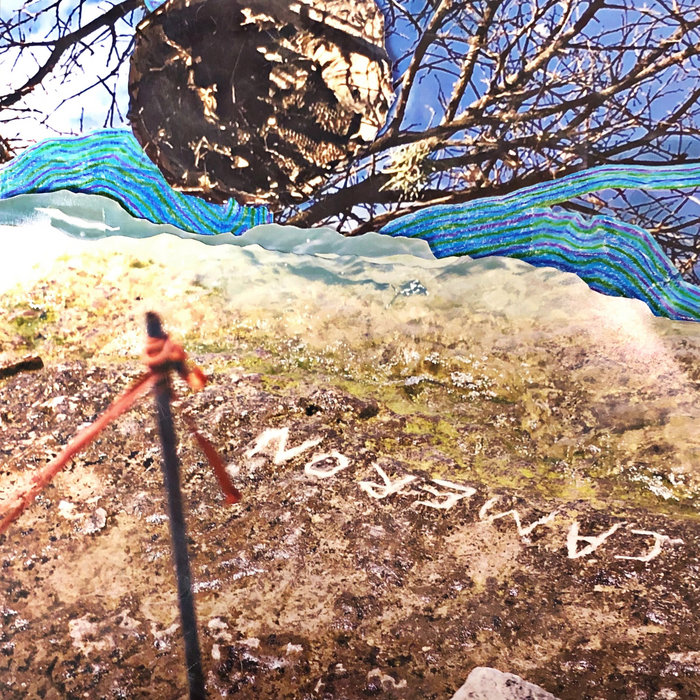 cameron | Wiley FMU (and company) | Wiley FMU