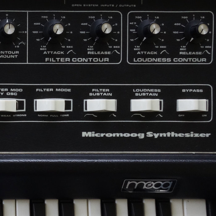 MOOG MICROMOOG | Vintage Synth Samples