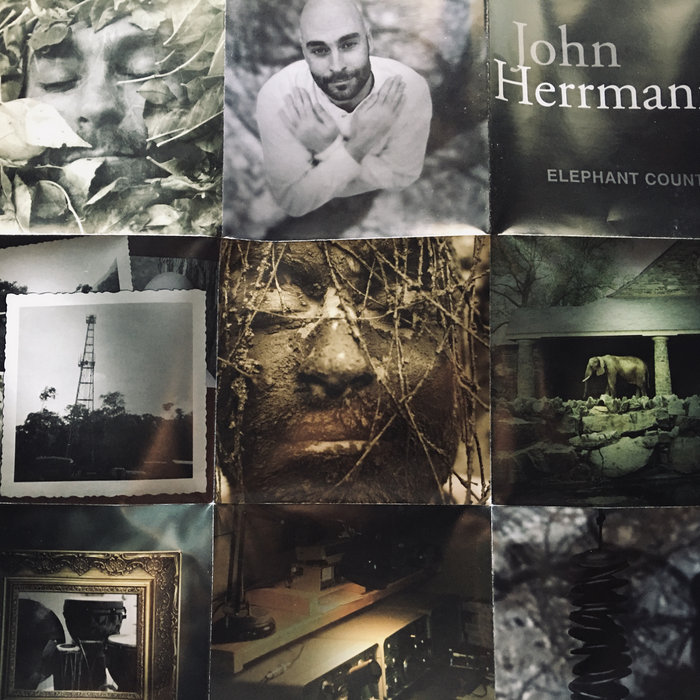 Elephant Country | John Andre Herrmann