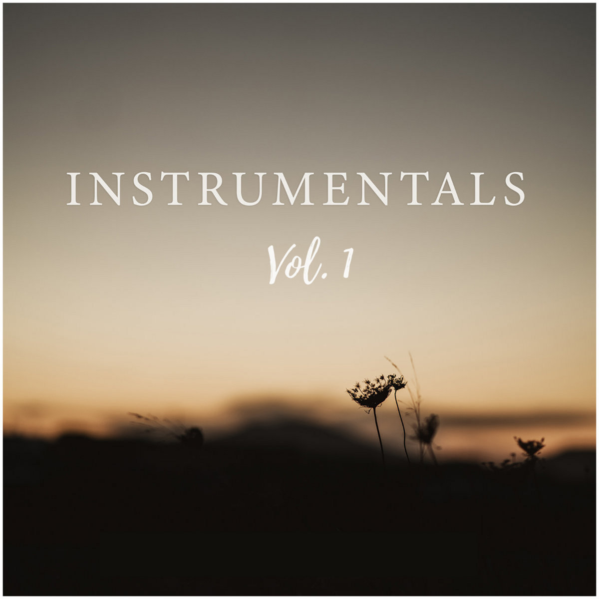 Music Personal Use Instrumental Backing Tracks Sound Cassette