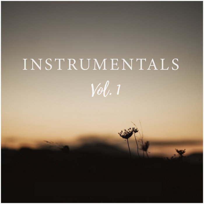 Music Personal Use Instrumental Backing Tracks Sound Cassette