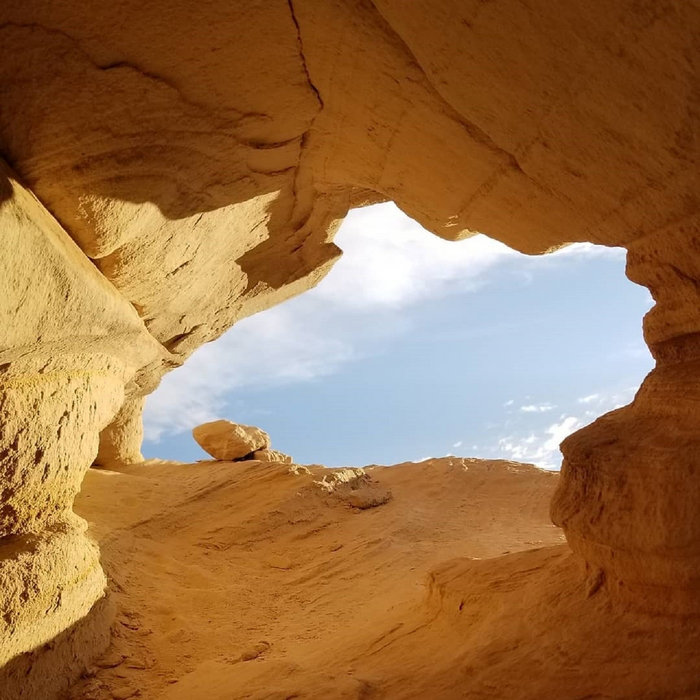 Demos 2020 | Matthew Greer