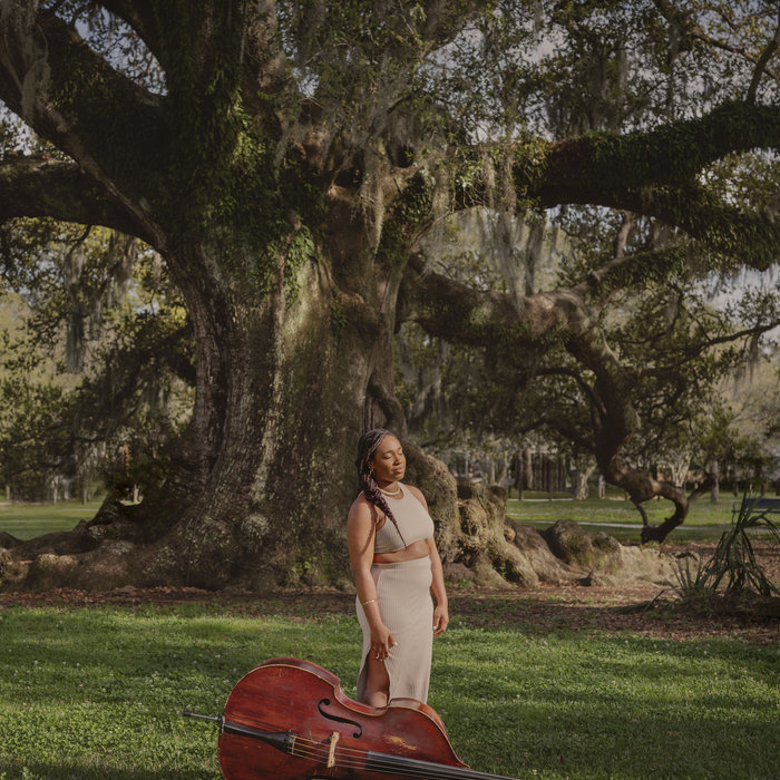 Where the Wild Seed Grows | Amina Scott