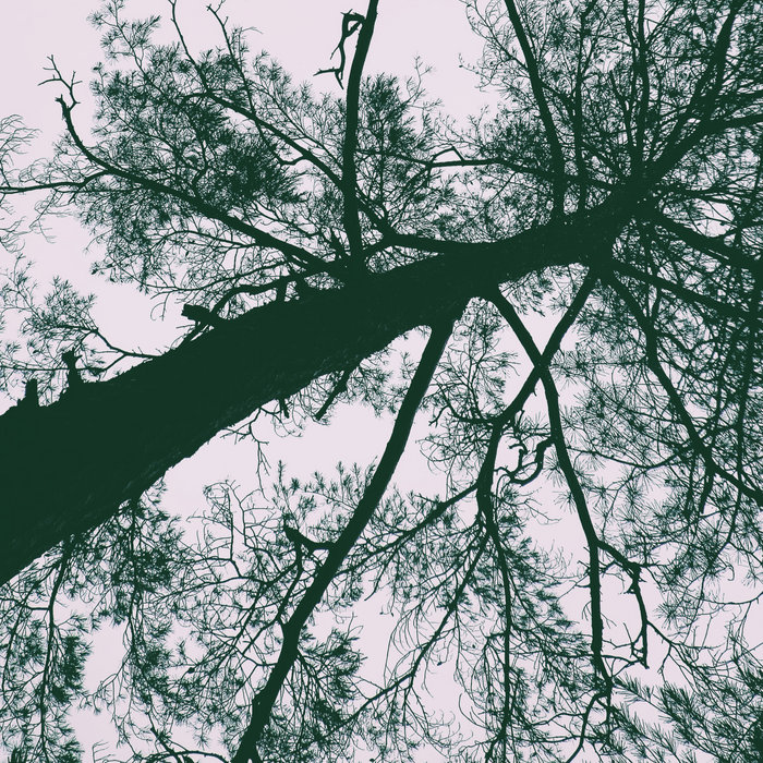 Variation | 異体相即 | Static Disc