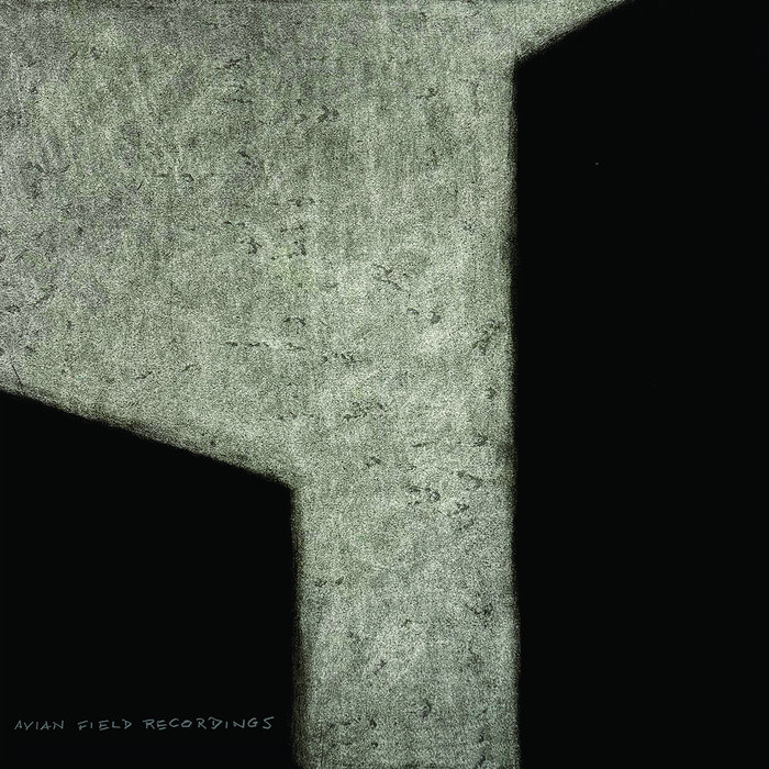 Avian Field Recordings | Dylan Hicks & Small Screens | Dylan Hicks