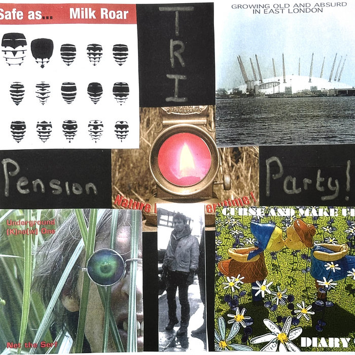 Pension Party! | Various Artists | TRI