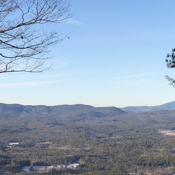 FlusterCluck | Chill Bobbin’