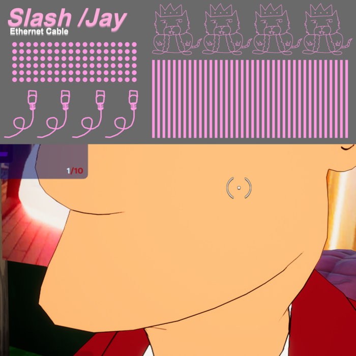 Ethernet Cable | Slash Jay