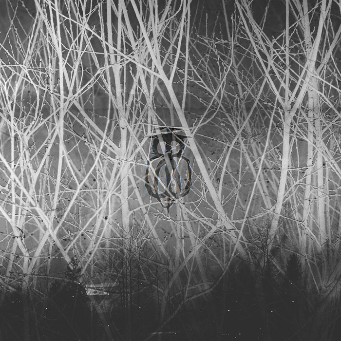 Dreams Are from the Deep Dark. Keep Listening and Seeing. They Are ...