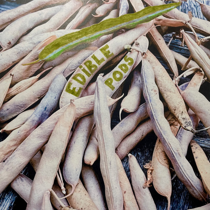 Edible Pods | Mild Letters