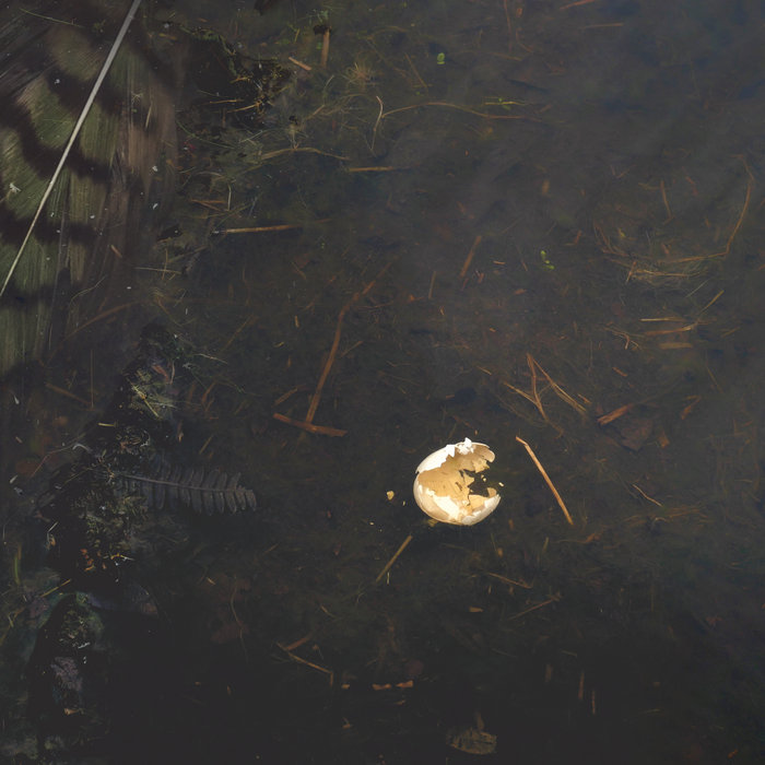 English Object | Jim Carter