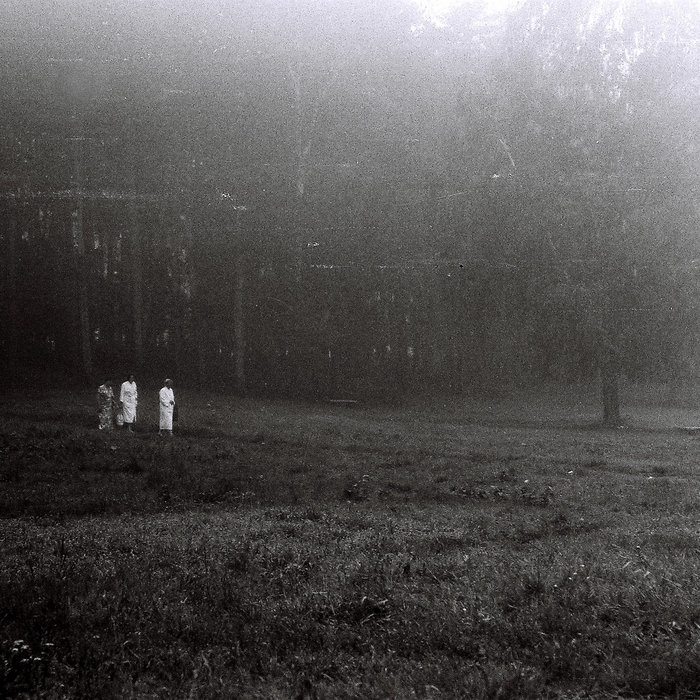 Few survivors | Blear Moon