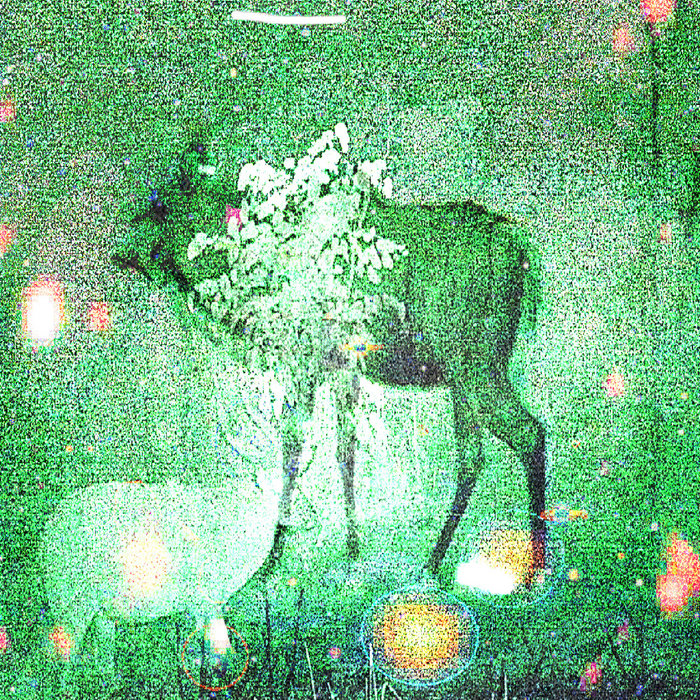 Wombs and Alien Spirits | Ghost Lemurs | Haunter Records