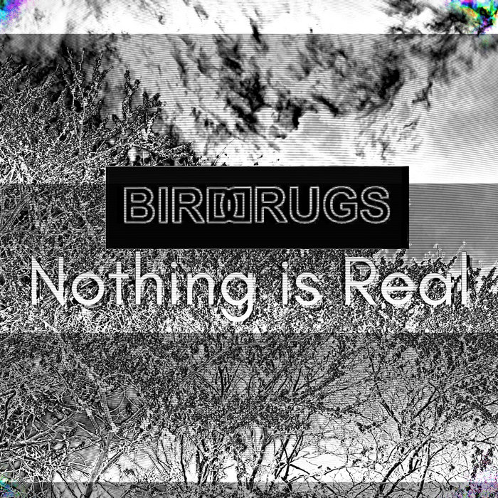 Nothing is Real | BIRD DRUGS