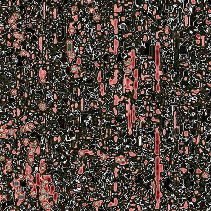 may not or mayn't? | BioMeSS