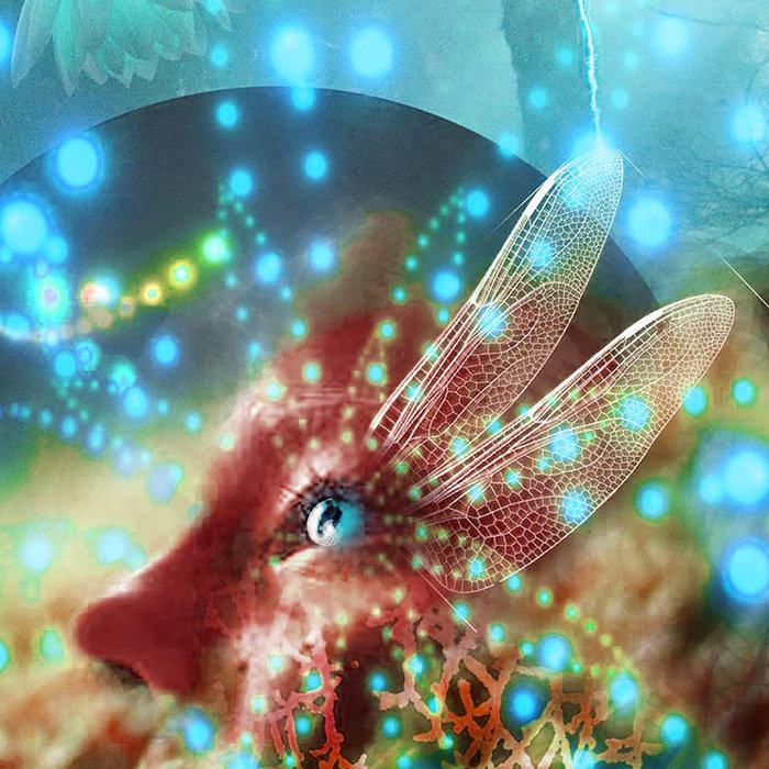 Red Dragonfly Studios | shane O Madden