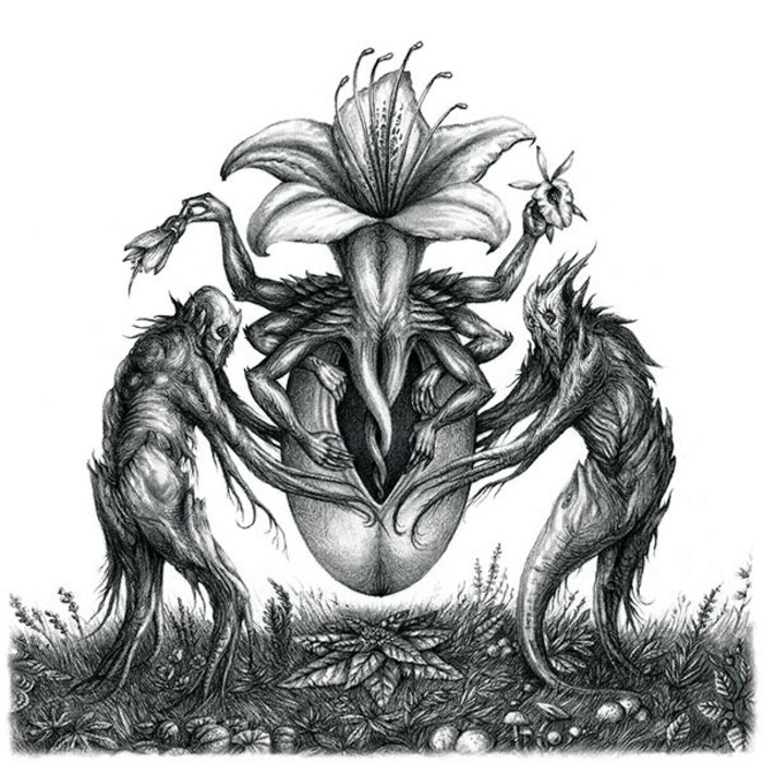 IV: Mandragora (black vinyl version) | Botanist
