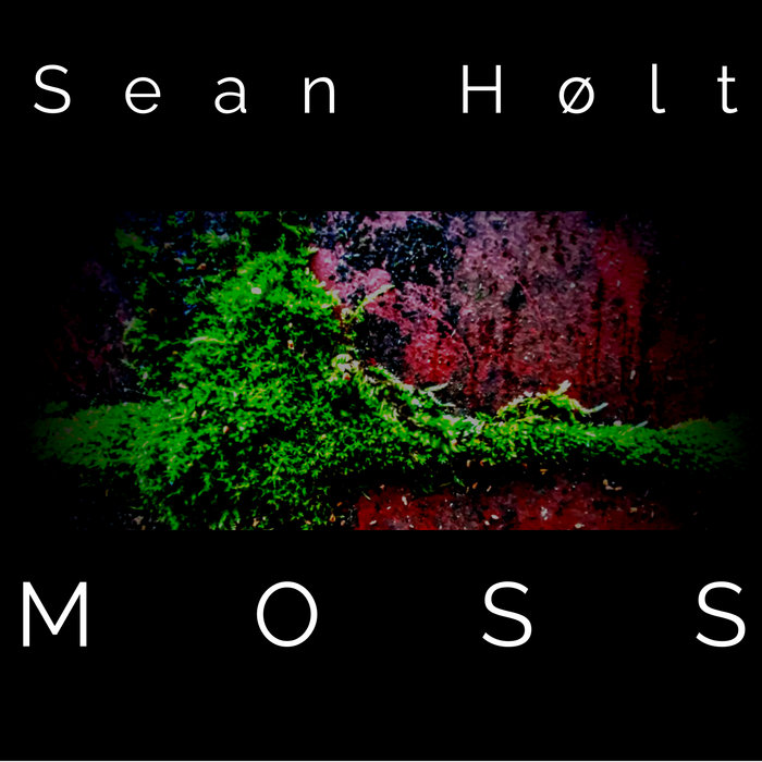 Moss | Sean Hølt