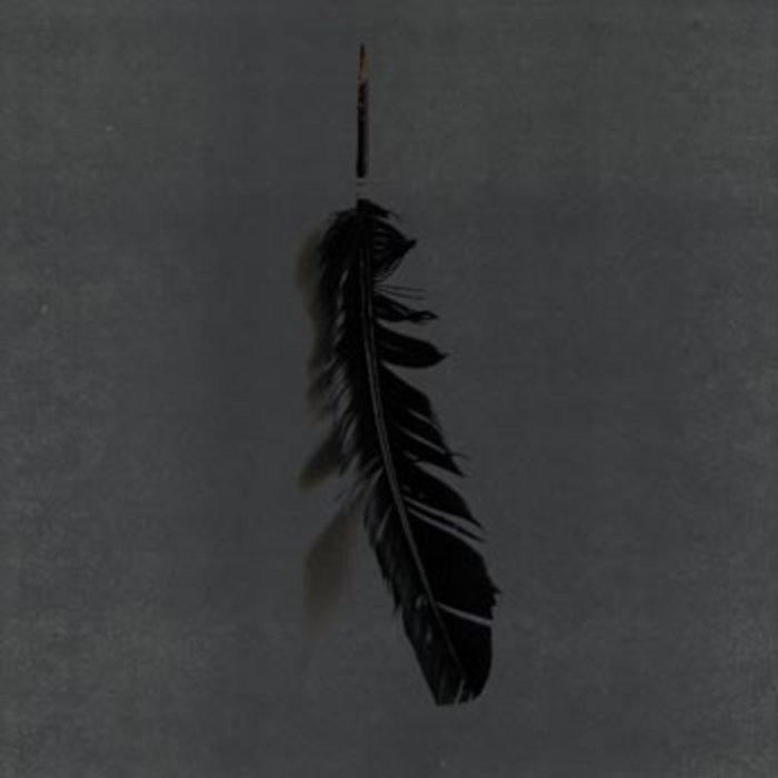 Dear Shadow | Bentley Anderson